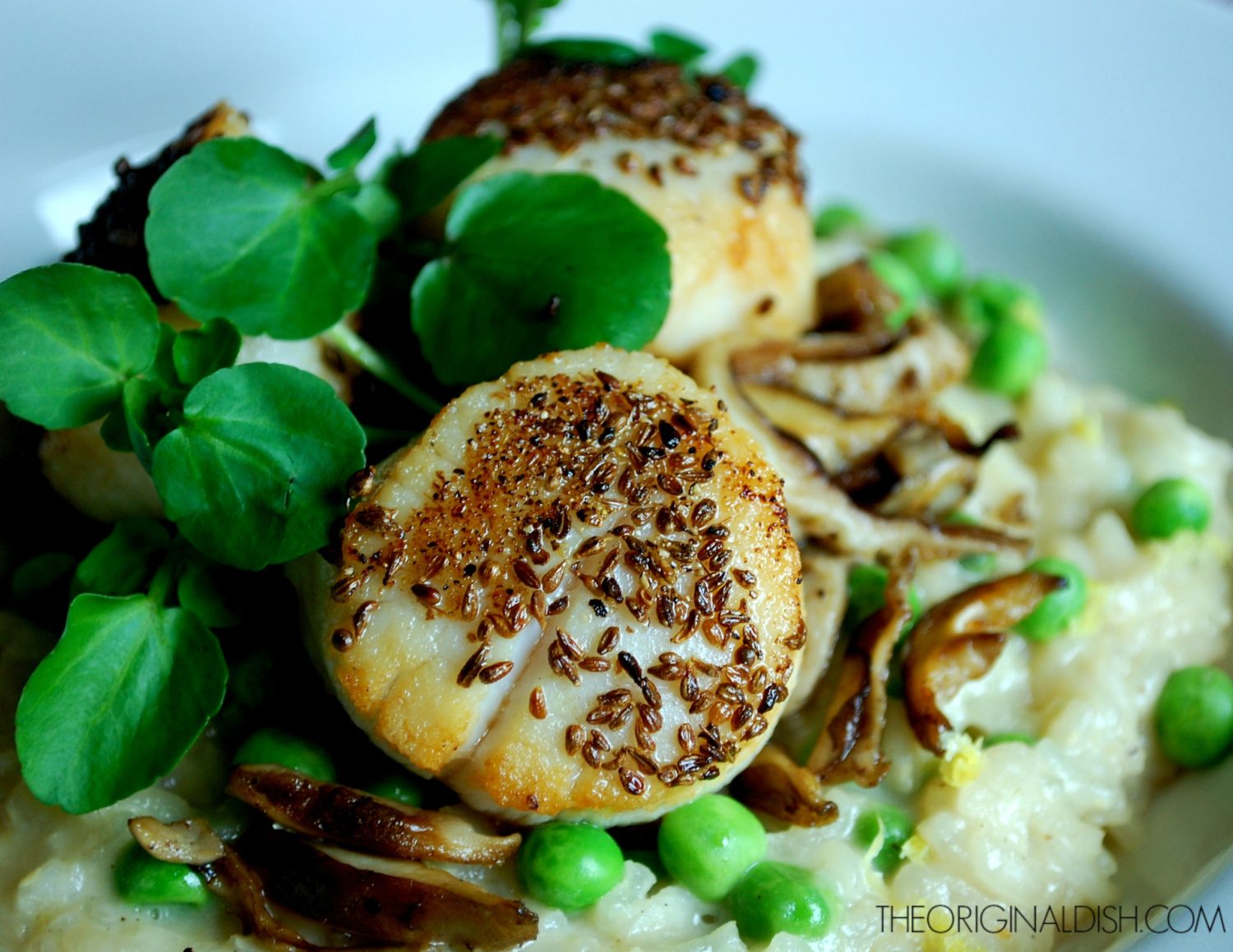 Anise Seared Scallops with Pea Risotto - The Original Dish