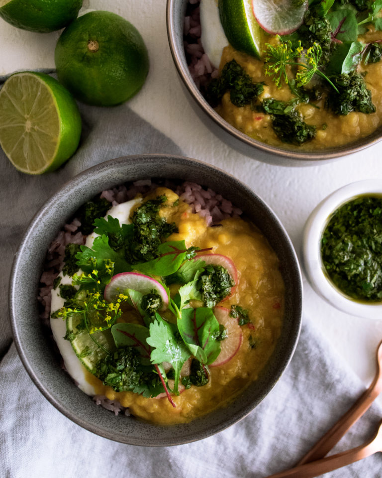 Butternut Squash Dal with Coconut Rice & Cilantro Mint Sauce - The ...