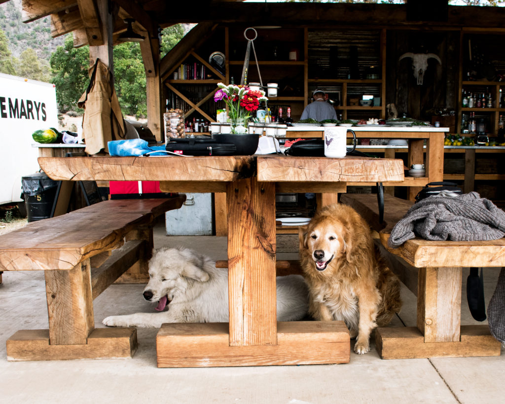 Five Mary's Farm - The Original Dish