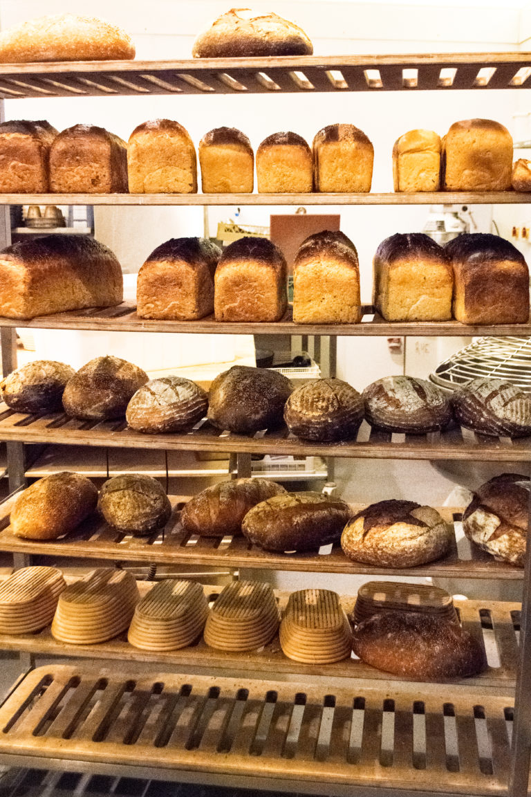 Bread41 - The Original Dish