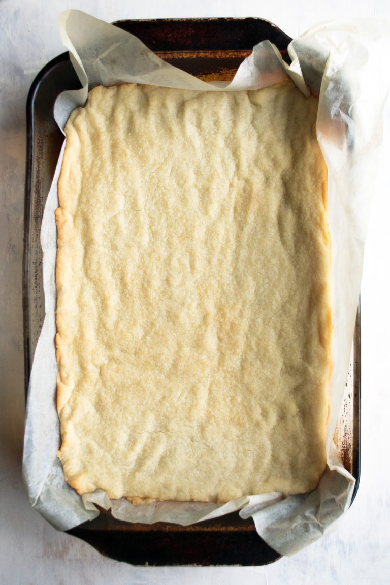 Chocolate Coconut Shortbread Bars - The Original Dish